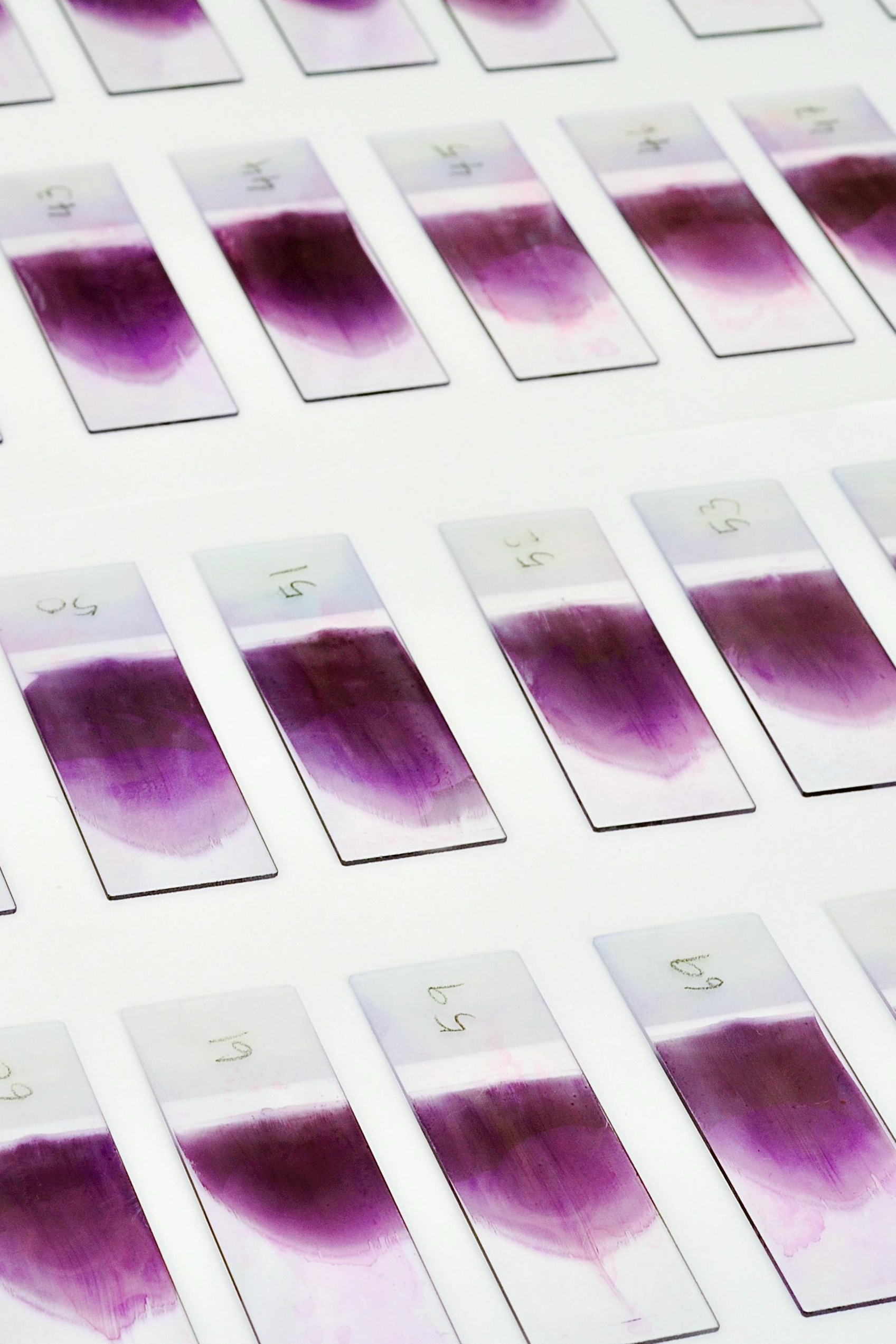 Global Biobank Directory, Tissue Banks and Biorepositories